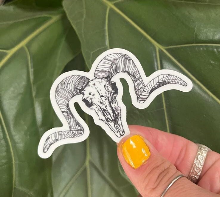 Ram Skull Sticker Western Black and White Gift for Mountain - Etsy