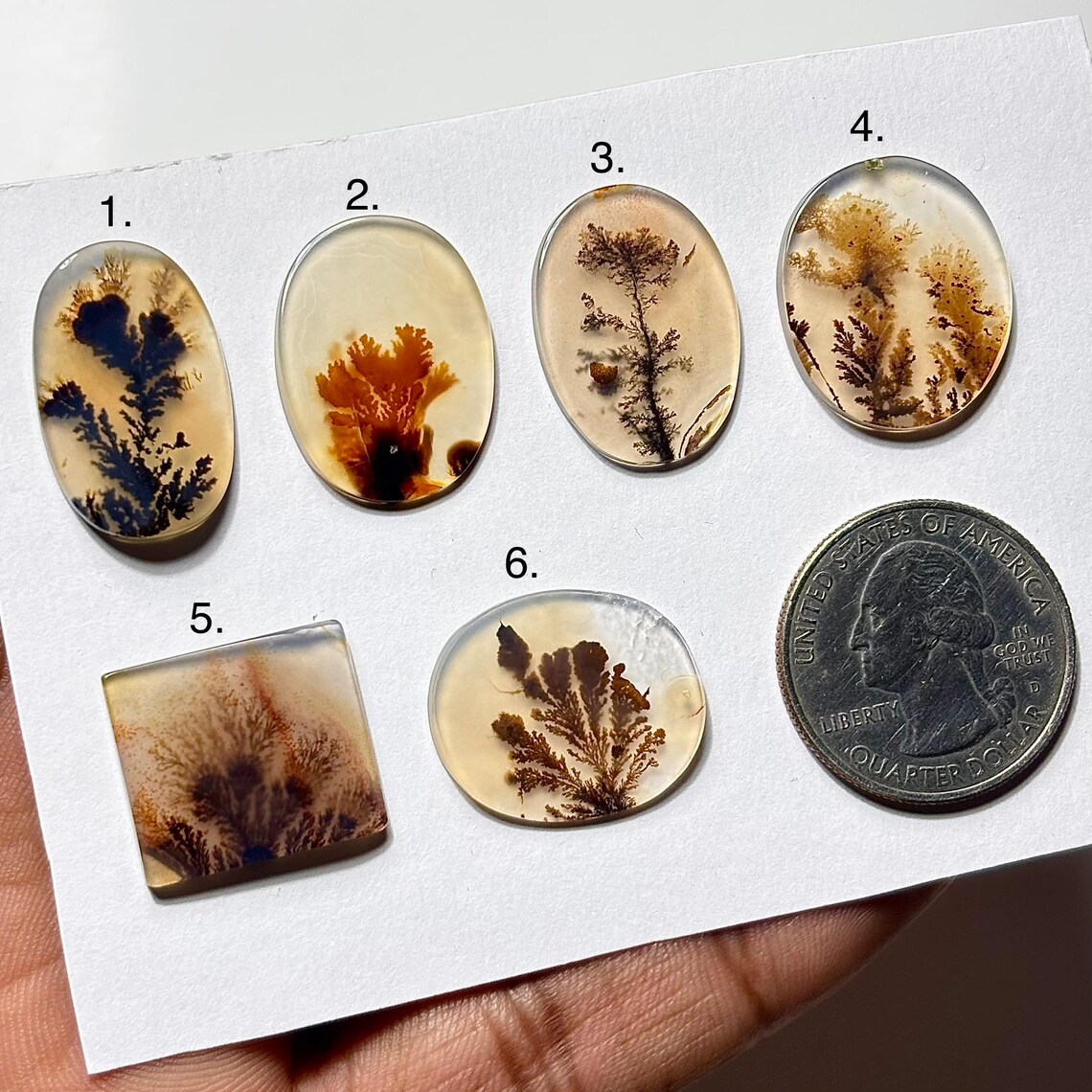 Scenic Agate Smooth Cabochon : Mixed Shape Gemstone for Jewelry ...