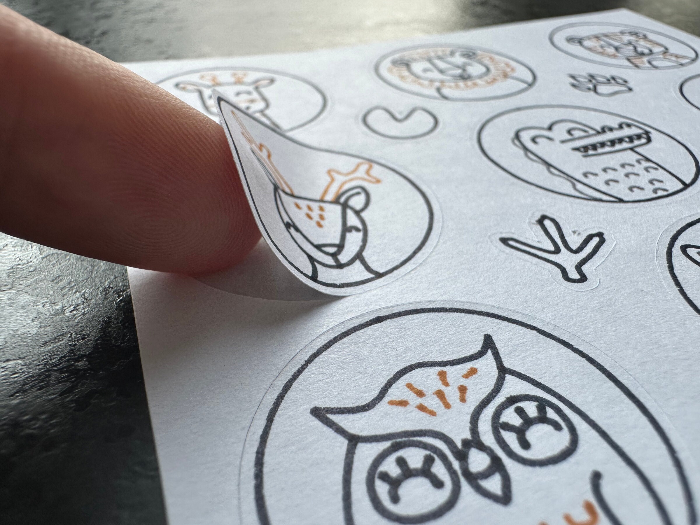 Cricut Joy Sticker Sheet Cricut Sticker SVG Round Animal Sticker Lion ...