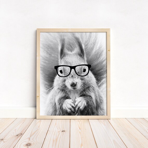 Squirrels With Glasses
