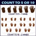 Counting Fingers Gifs - Animated Clipart - Hands Clip Art - Etsy