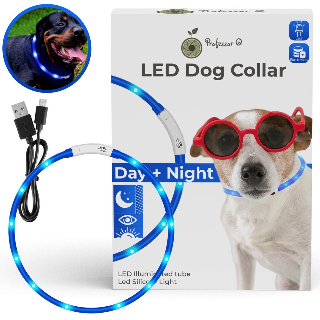 Blue LED Collar for Dog / Blue Illuminated Dog Collar / Luminous Dog ...