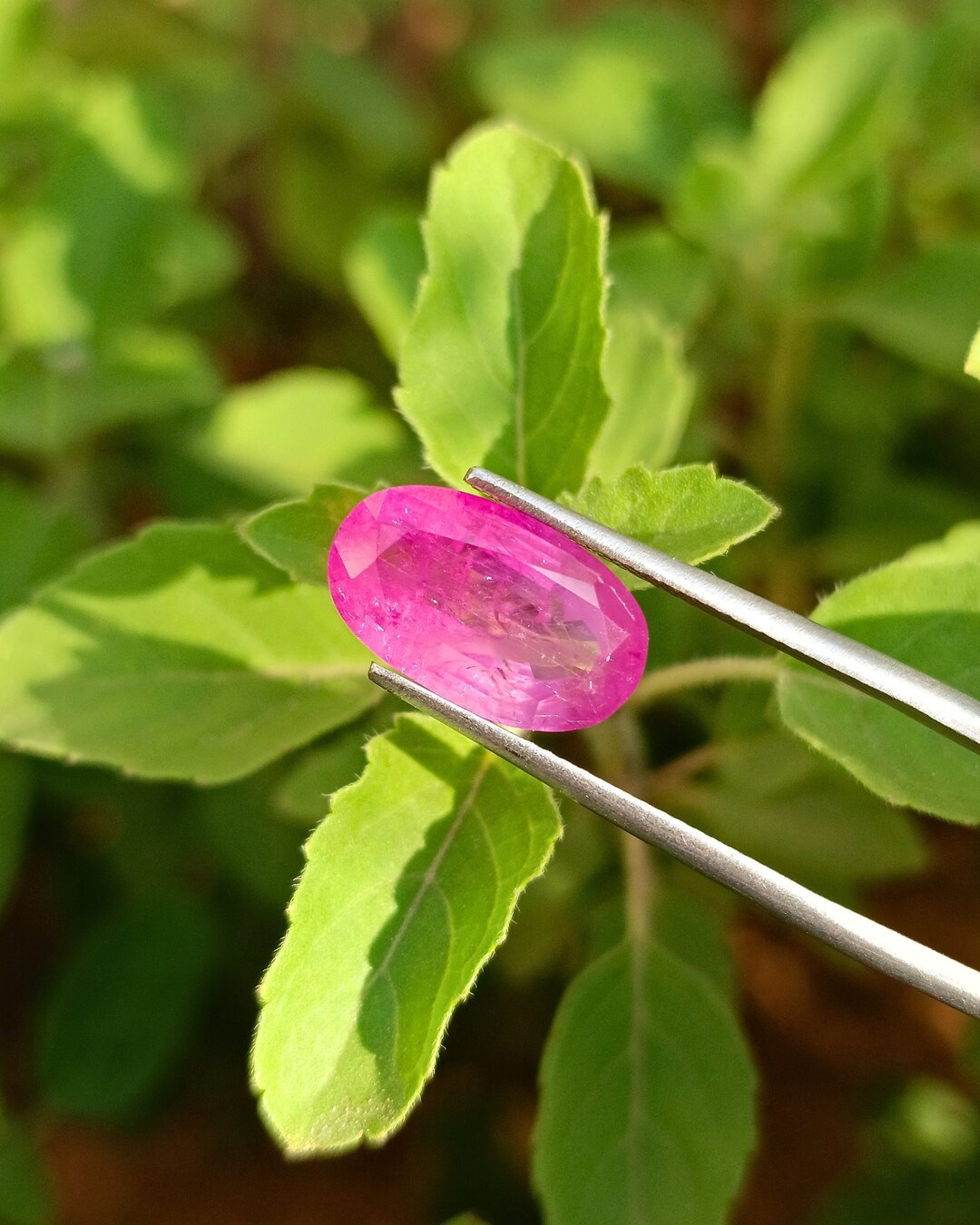 Natural Pink Ruby Oval Cut Gemstone, Size 8x13.50 Mm, July Birthstone ...