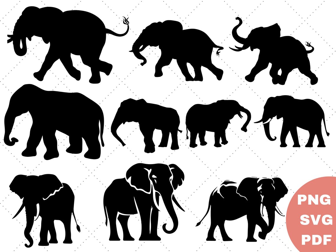 Elephant SVG Bundle, Elephant SVG, Elephant Clipart, Elephant Files for ...