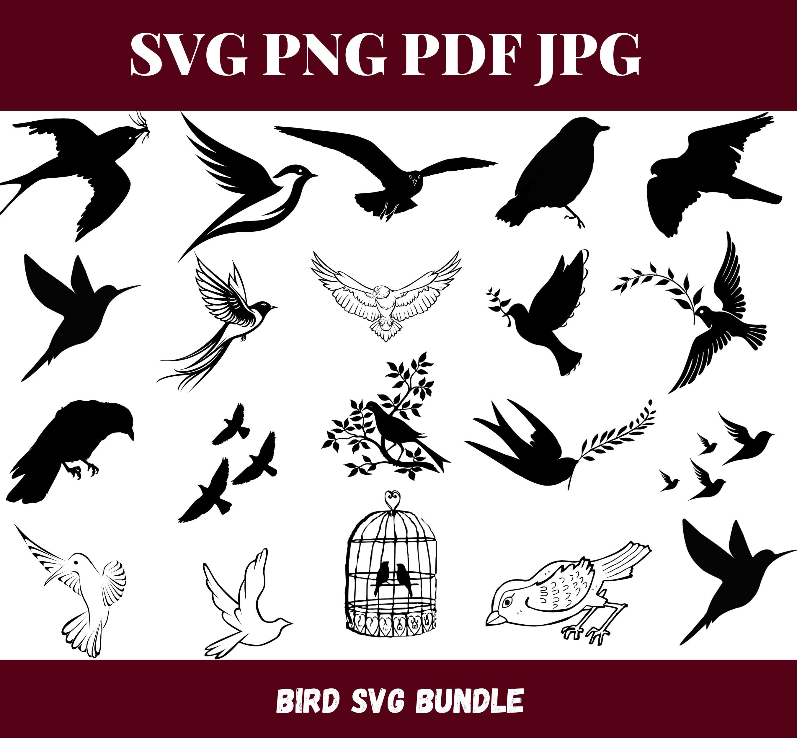 Bird Svg, Bird Truck Svg, Bird Svg, Bird Svg, Cricut Svg Files, Pickup ...