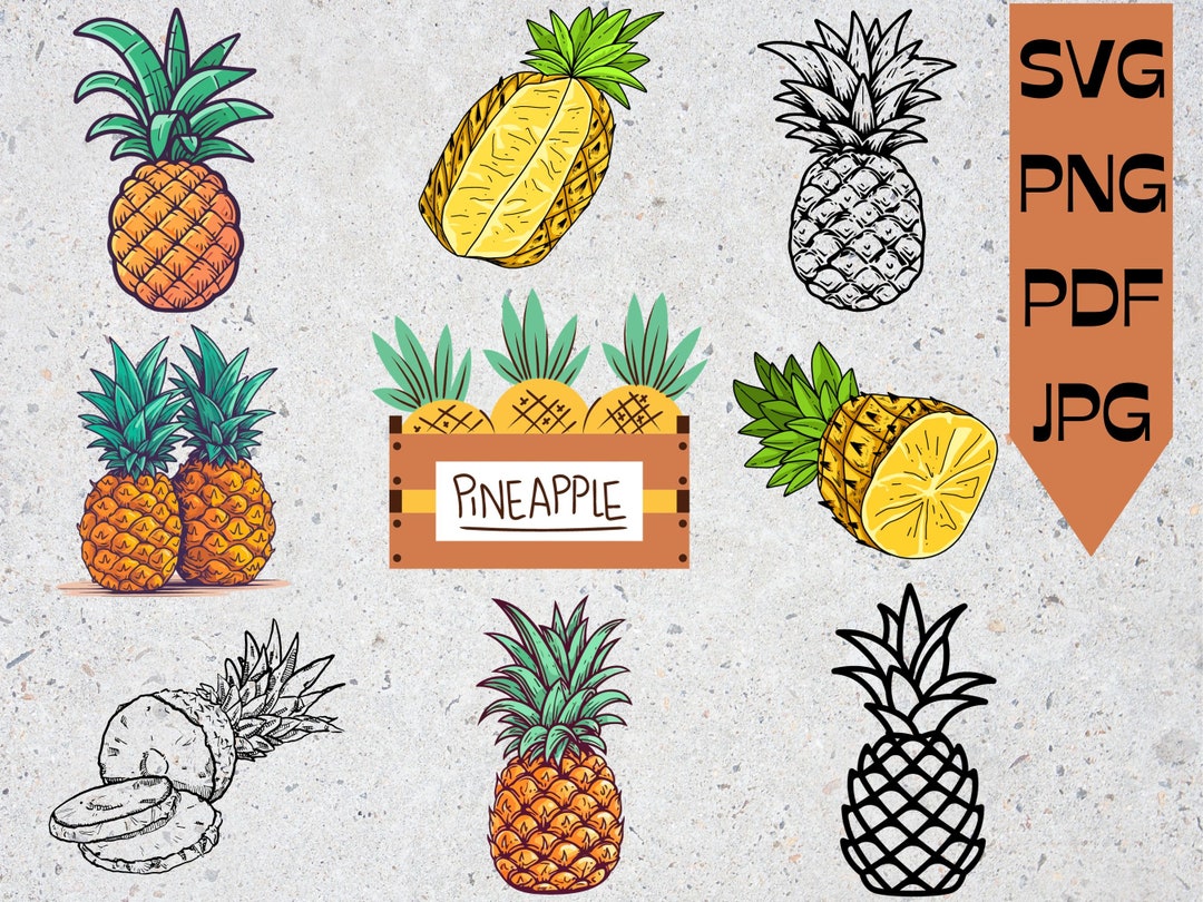 Pineapple Fruit Svg Bundle, Pineapple Svg Bundle, Silhouette, Vector ...