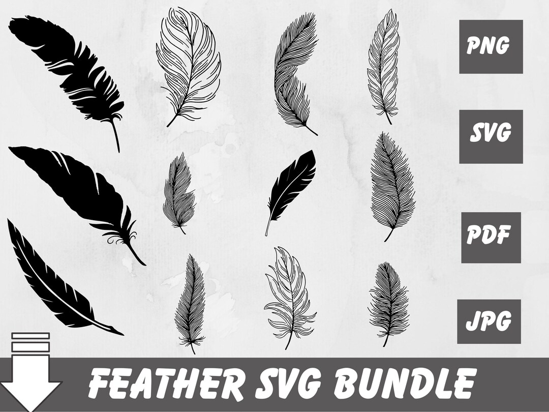 Feather SVG Bundle, Birds Feathers SVG, Boho Feather SVG, Feathers ...