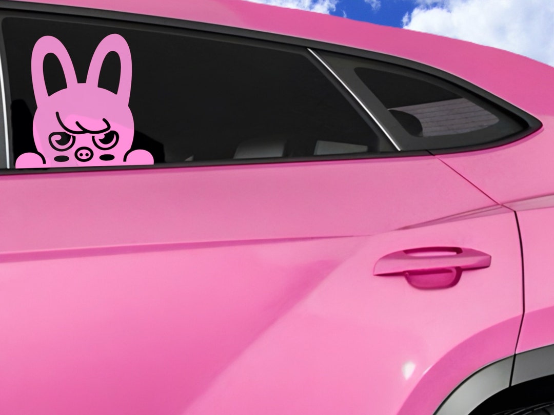 Stray Kids SKZOO Peeking DWAEKKI Vinyl Decal | Kpop Car Window Adhesive ...