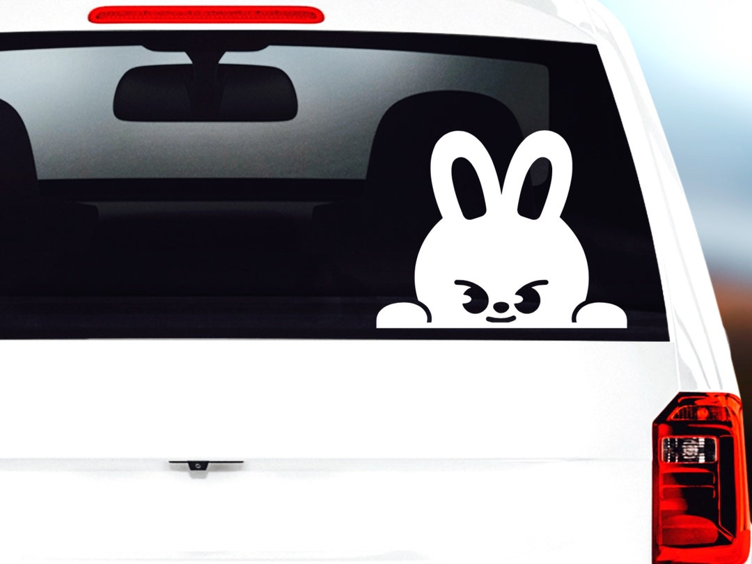 Stray Kids SKZOO Peeking Leebit Vinyl Decal | Kpop Car Window Adhesive ...