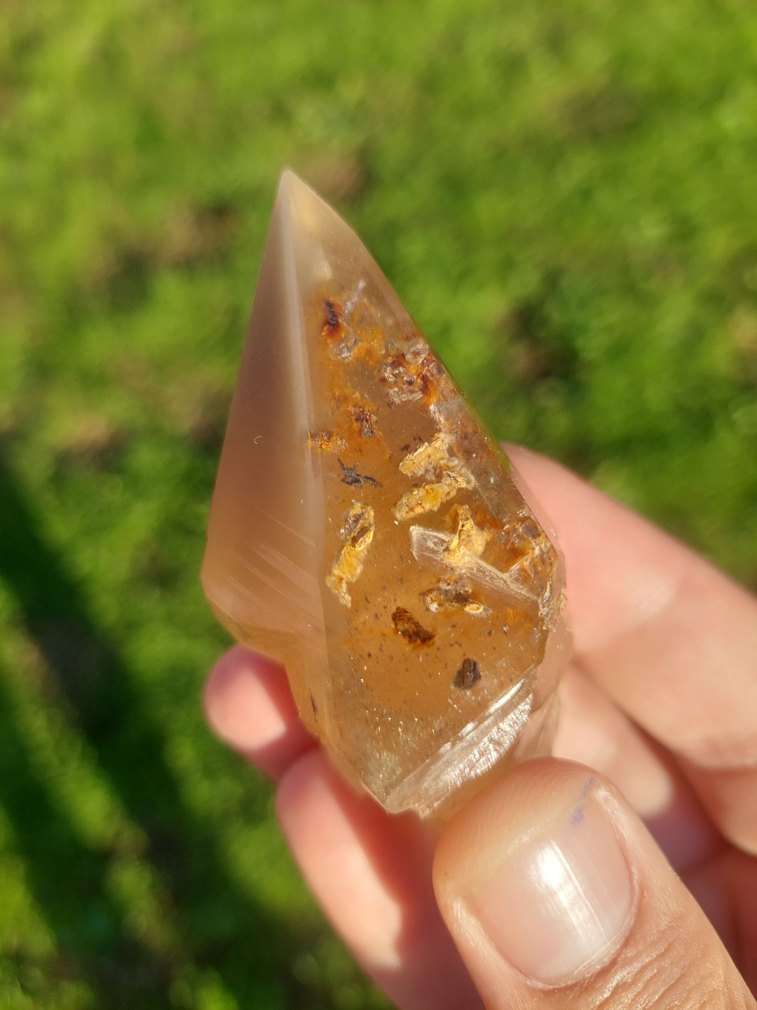 Rare Golden Stellar Beam Calcite Crystal With Pyrite Phantom - Etsy