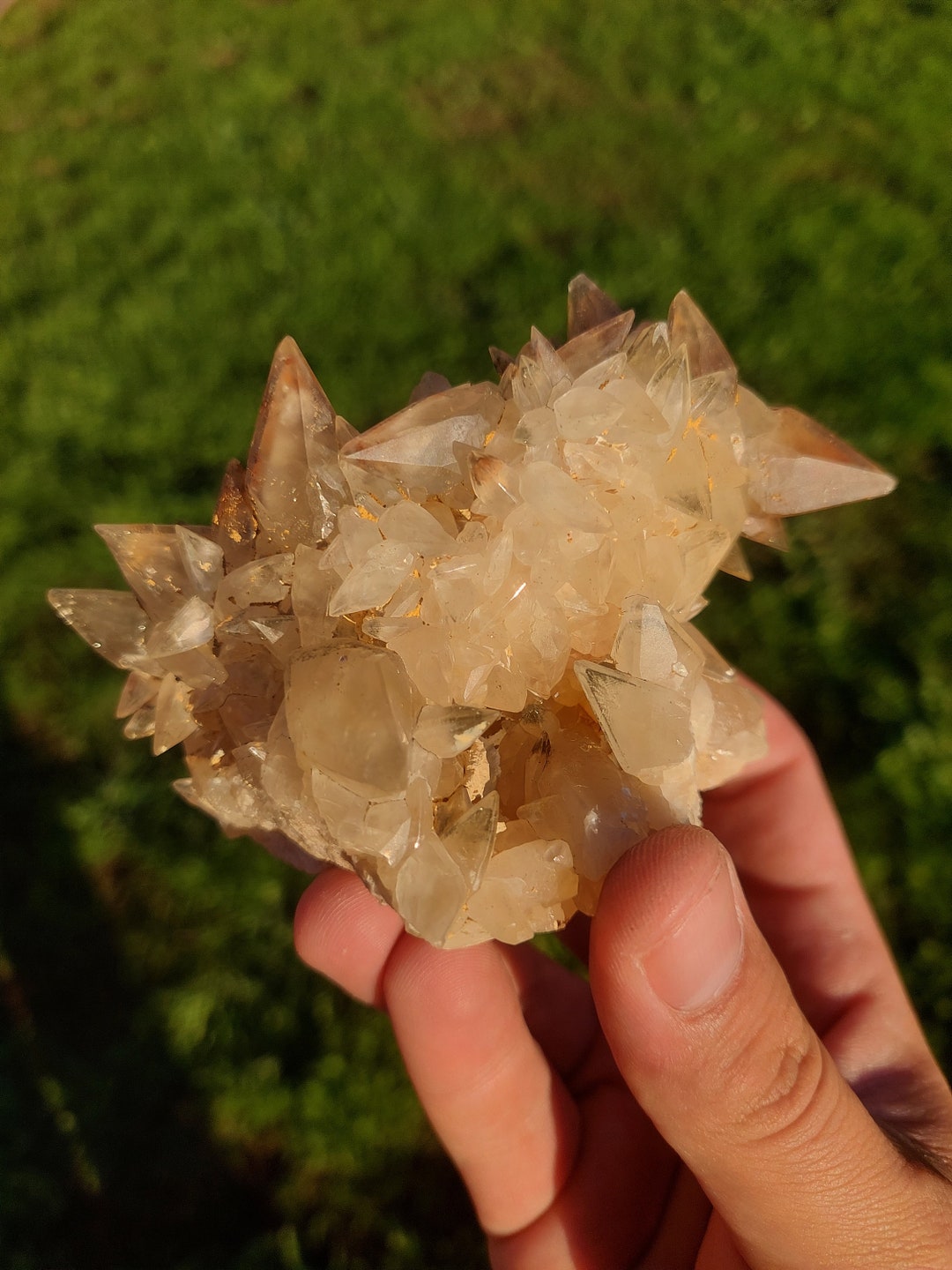 Rare Golden Stellar Beam Calcite Crystal Cluster With Pyrite Inclusions ...