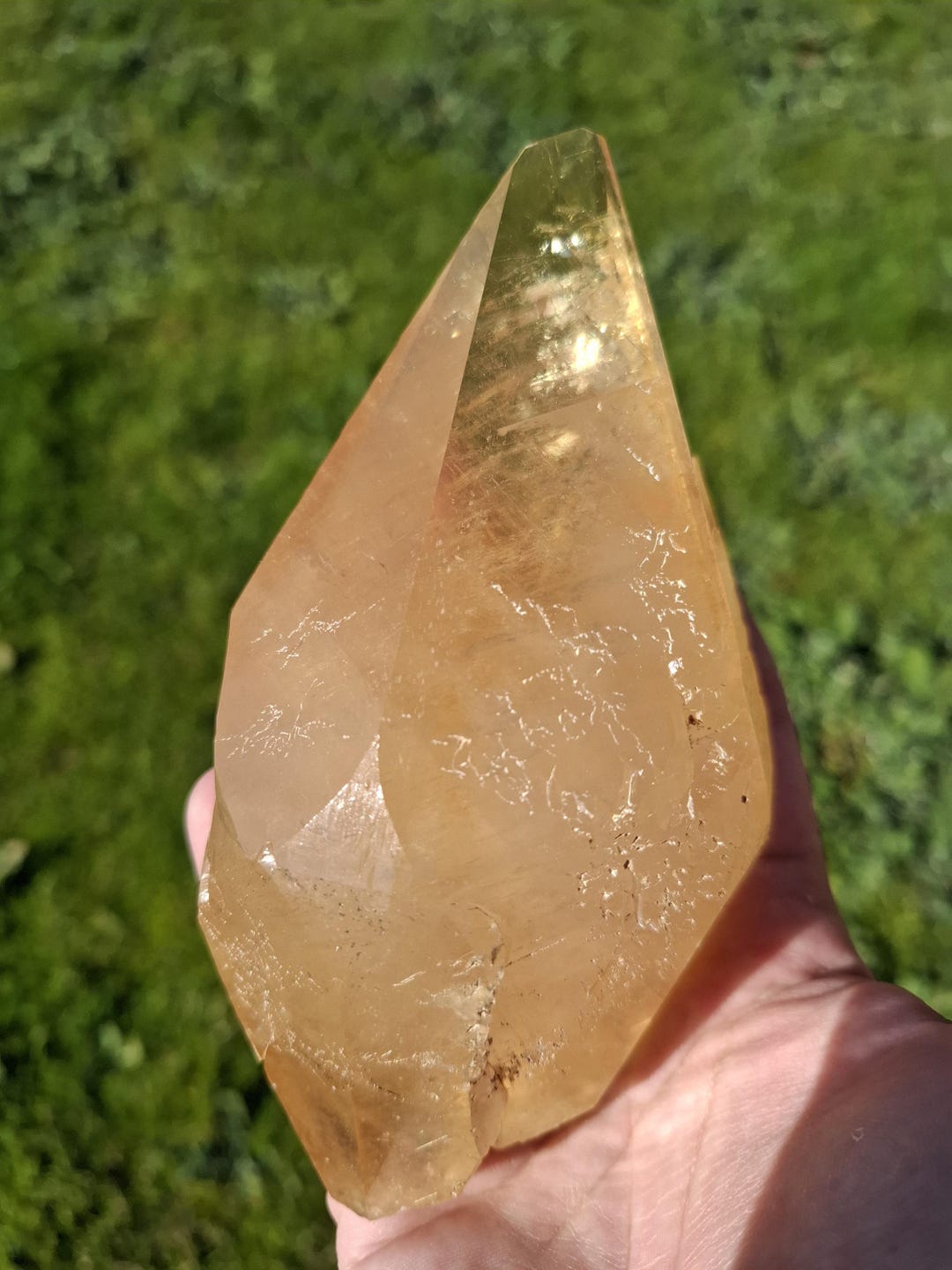 Rare Golden Stellar Beam Calcite Crystal With Pyrite Phantom, Gem ...
