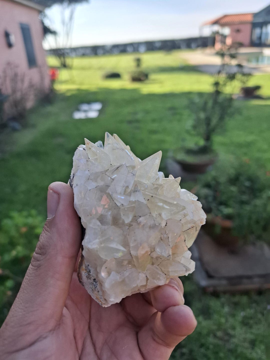 Rare Golden Stellar Beam Calcite Crystal Cluster With Pyrite Phantom ...
