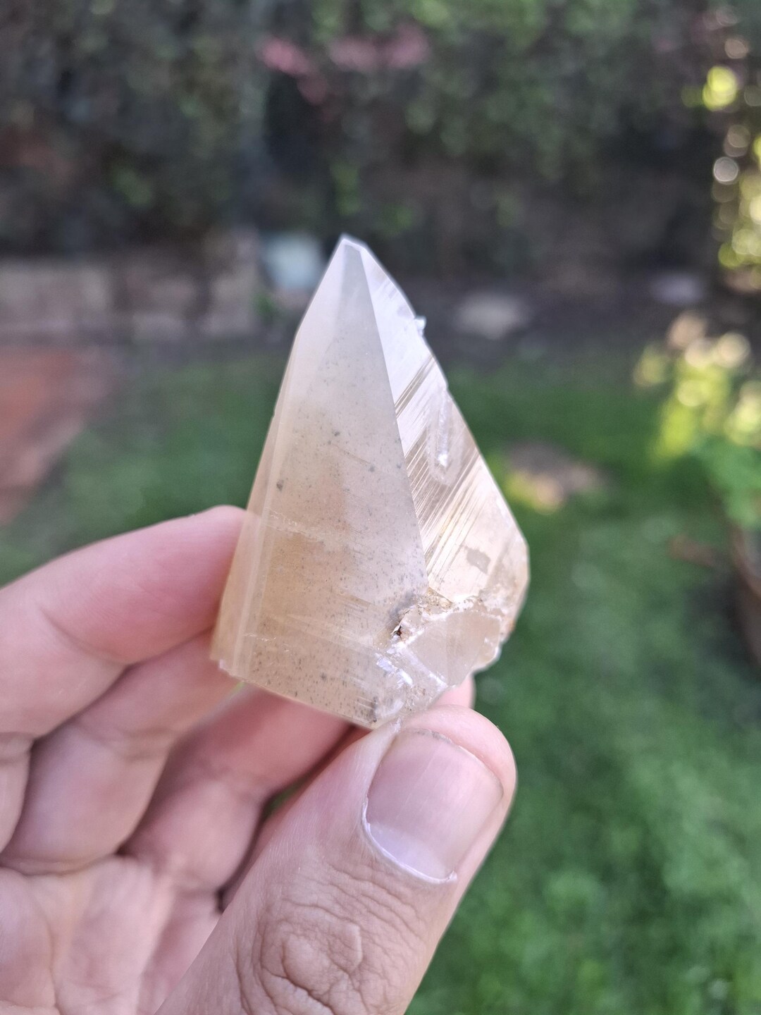 Rare Golden Stellar Beam Calcite Crystal With Pyrite Phantom, Gem ...