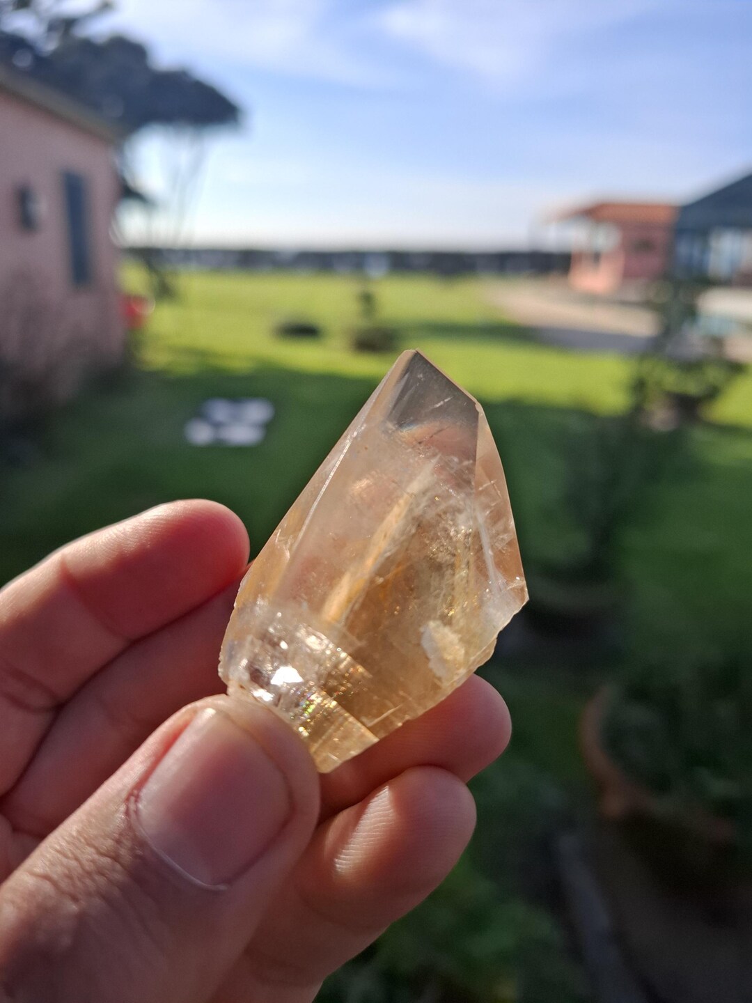Rare Golden Stellar Beam Calcite Crystal With Pyrite Phantom, Gem ...