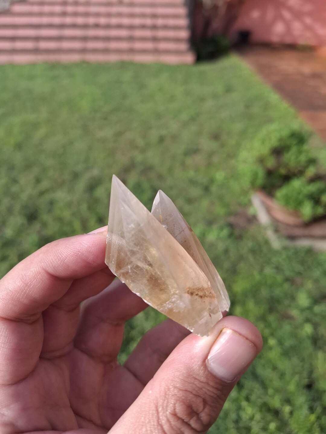 Rare Golden Stellar Beam Calcite Crystal With Pyrite Phantom, Gem ...