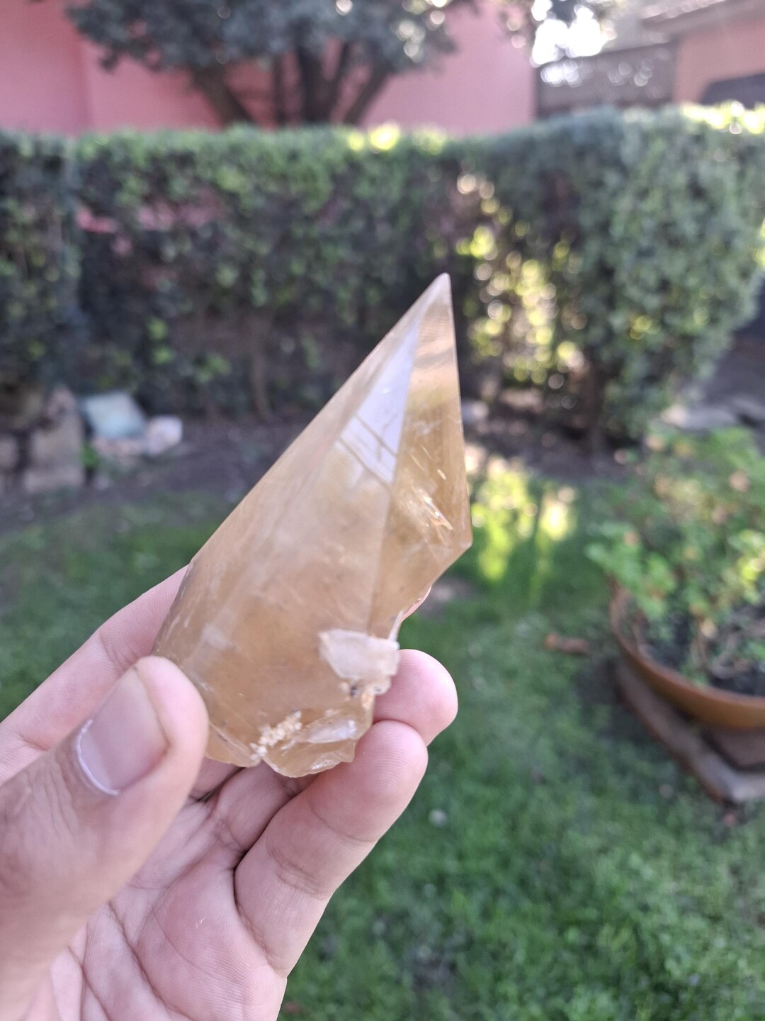 Rare Golden Stellar Beam Calcite Crystal With Pyrite Phantom, Gem ...