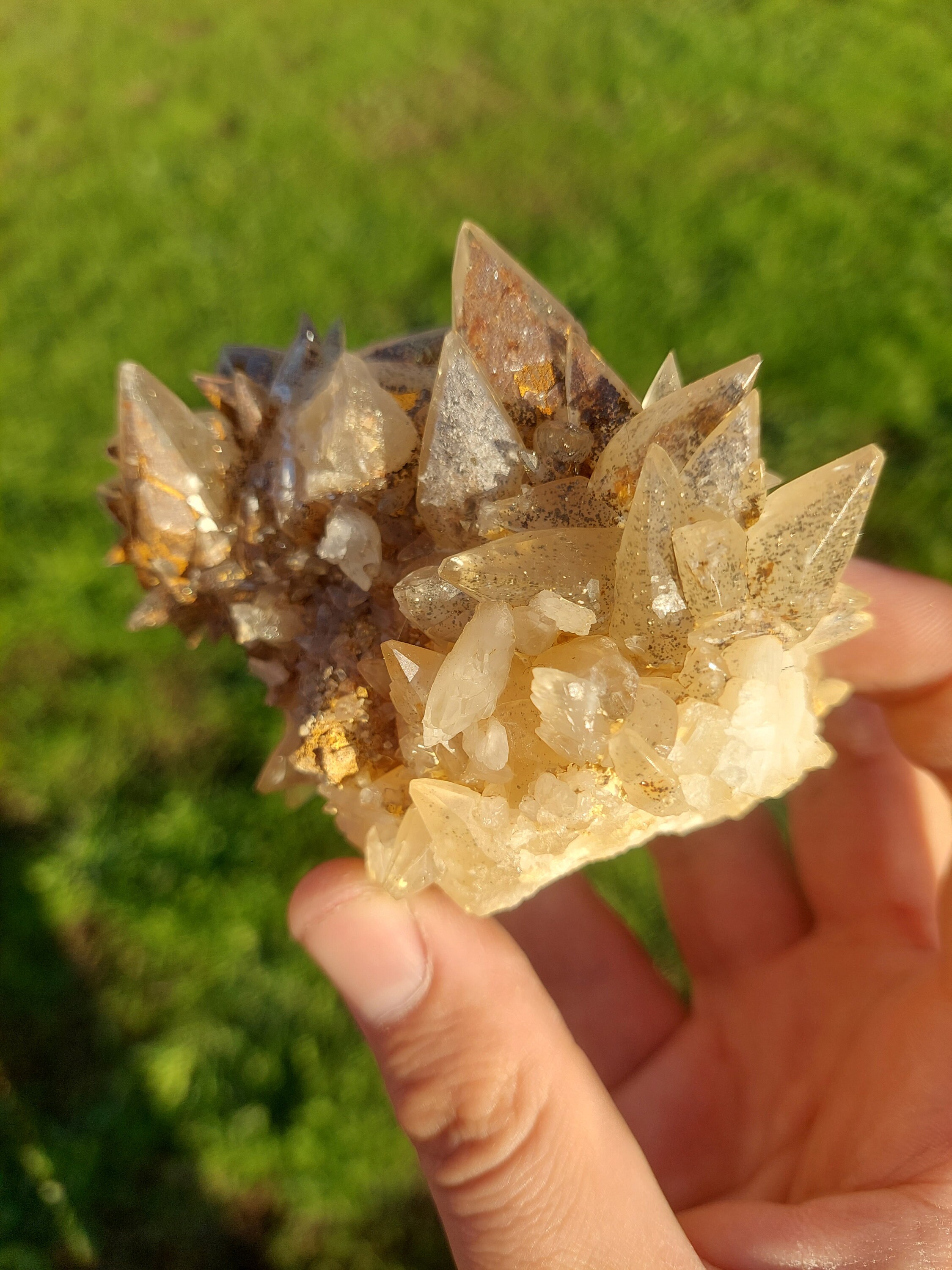 Rare Golden Stellar Beam Calcite Crystal Cluster With Pyrite Inclusions ...