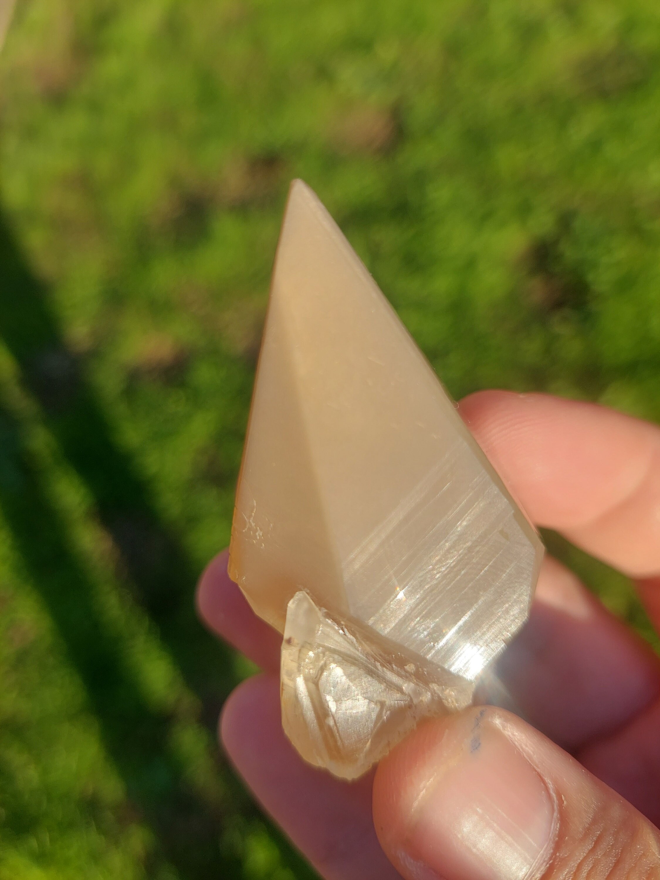 Rare Golden Stellar Beam Calcite Crystal With Pyrite Phantom - Etsy