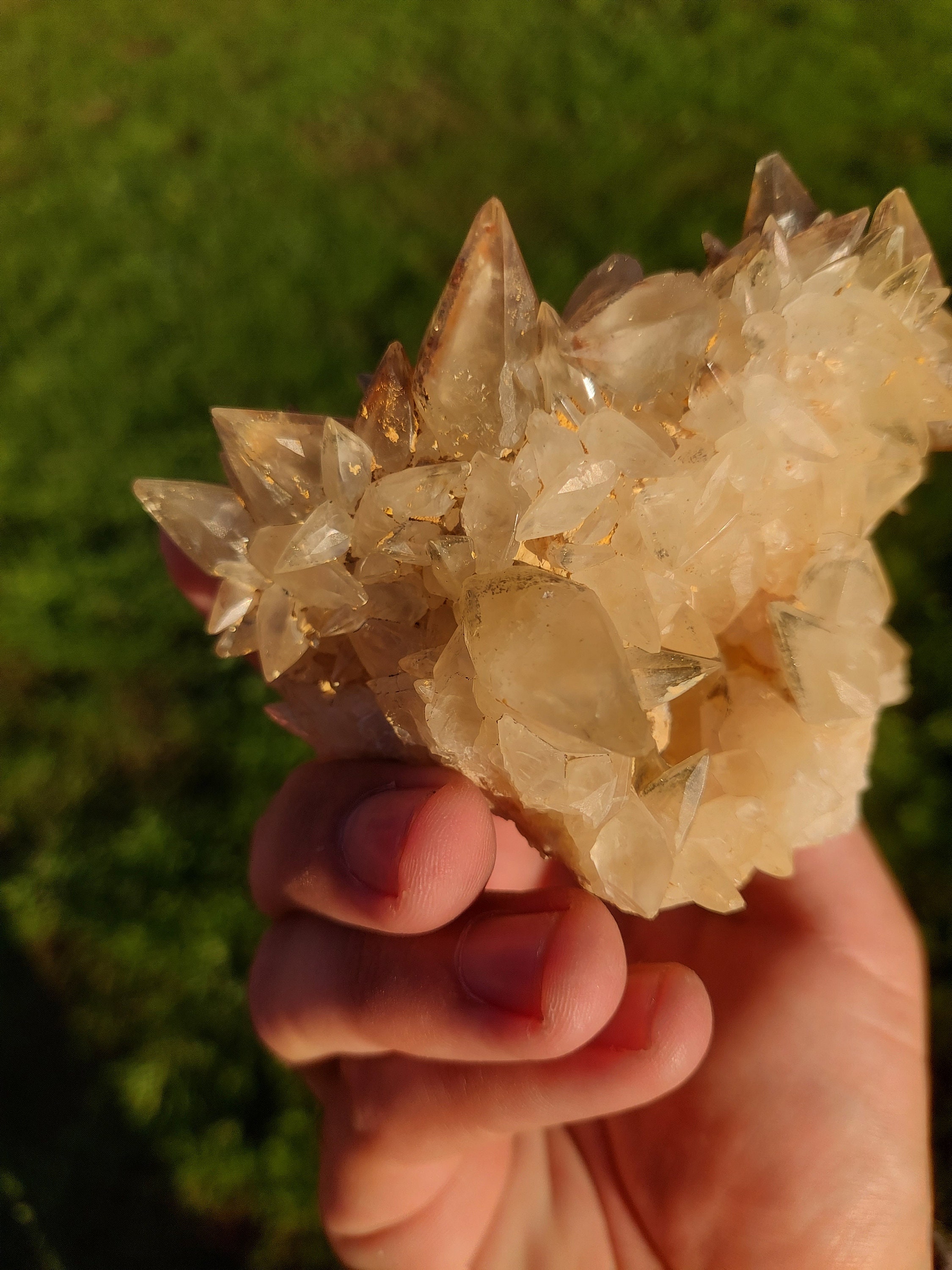 Rare Golden Stellar Beam Calcite Crystal Cluster With Pyrite Inclusions ...