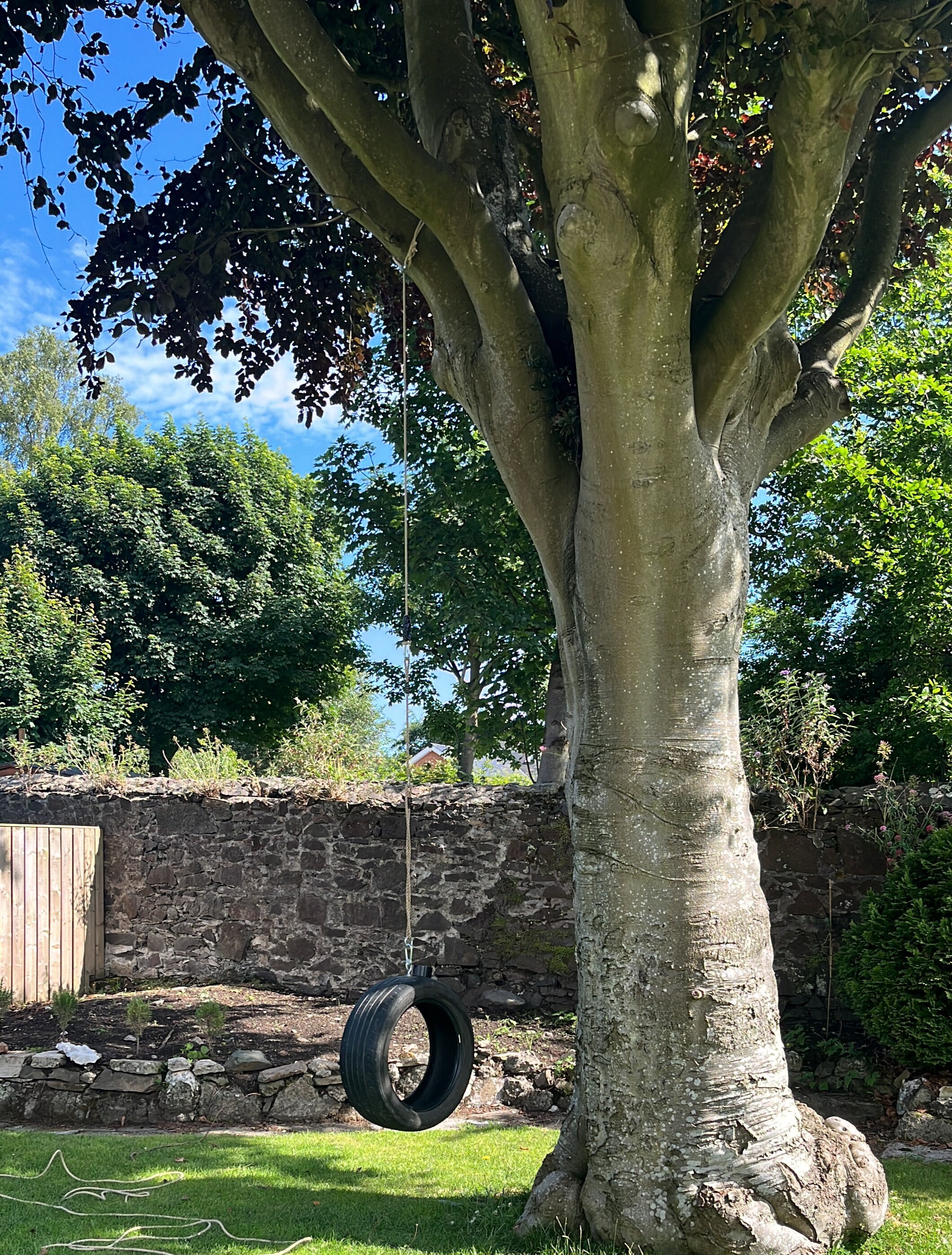 7m Heavy Duty D.I.Y Tyre Rope Swing Kit Outdoor Tree Rope Swing for ...