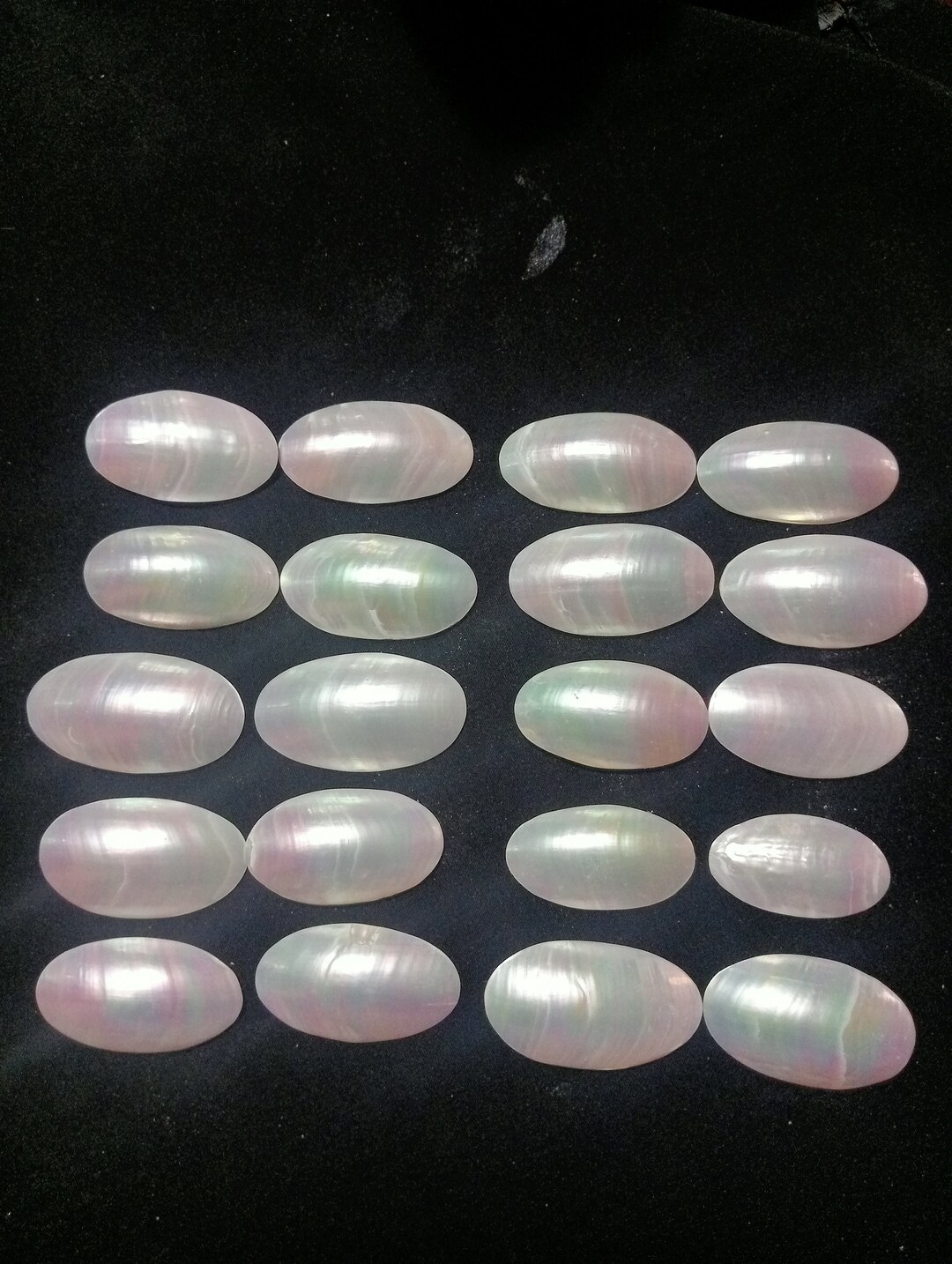 003 Seashell Slice Shell..10 Pcs Pairs Slice Shells.003 - Etsy