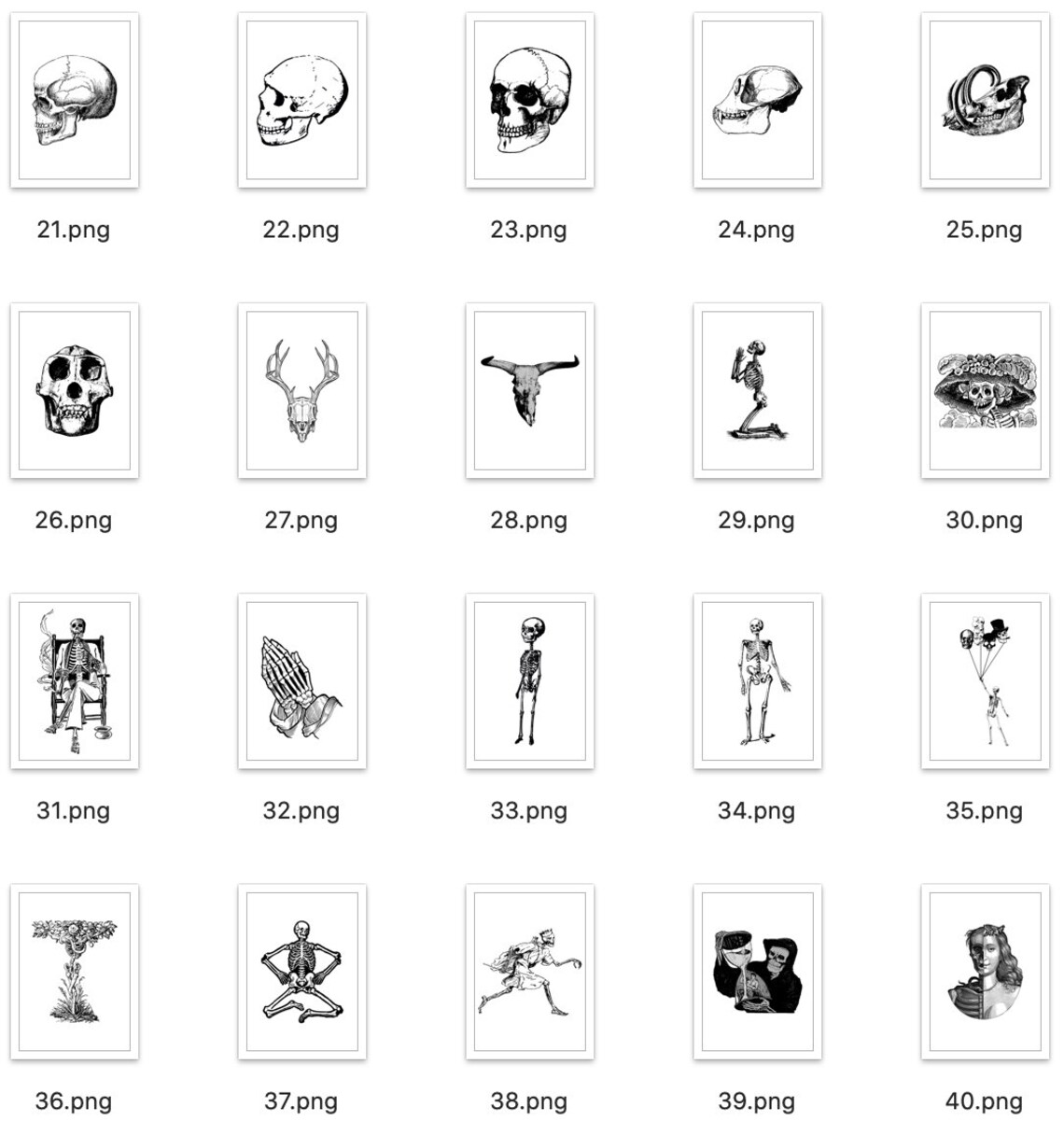 50 Vintage Skulls & Skeletons PNG SVG Digital Clipart Graphics ...