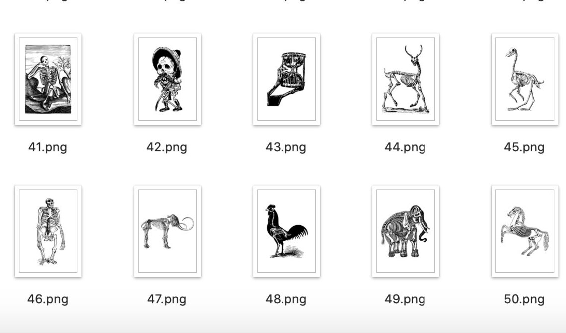 50 Vintage Skulls & Skeletons PNG SVG Digital Clipart Graphics ...