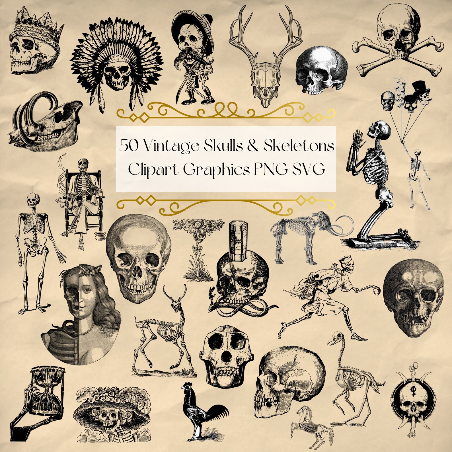 50 Vintage Skulls & Skeletons PNG SVG Digital Clipart Graphics ...