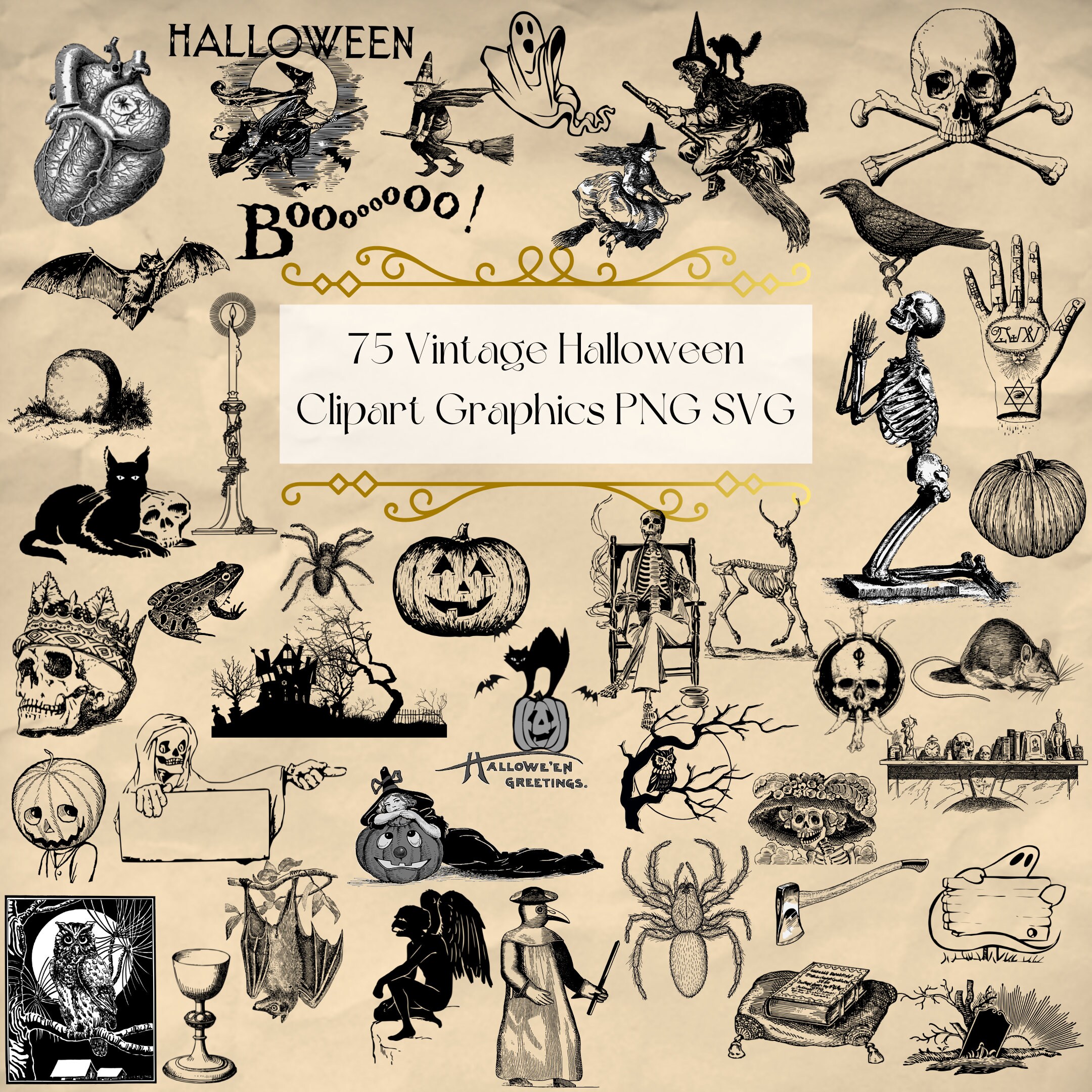 75 Vintage Halloween Clipart PNG SVG, Transparent Background, Digital ...