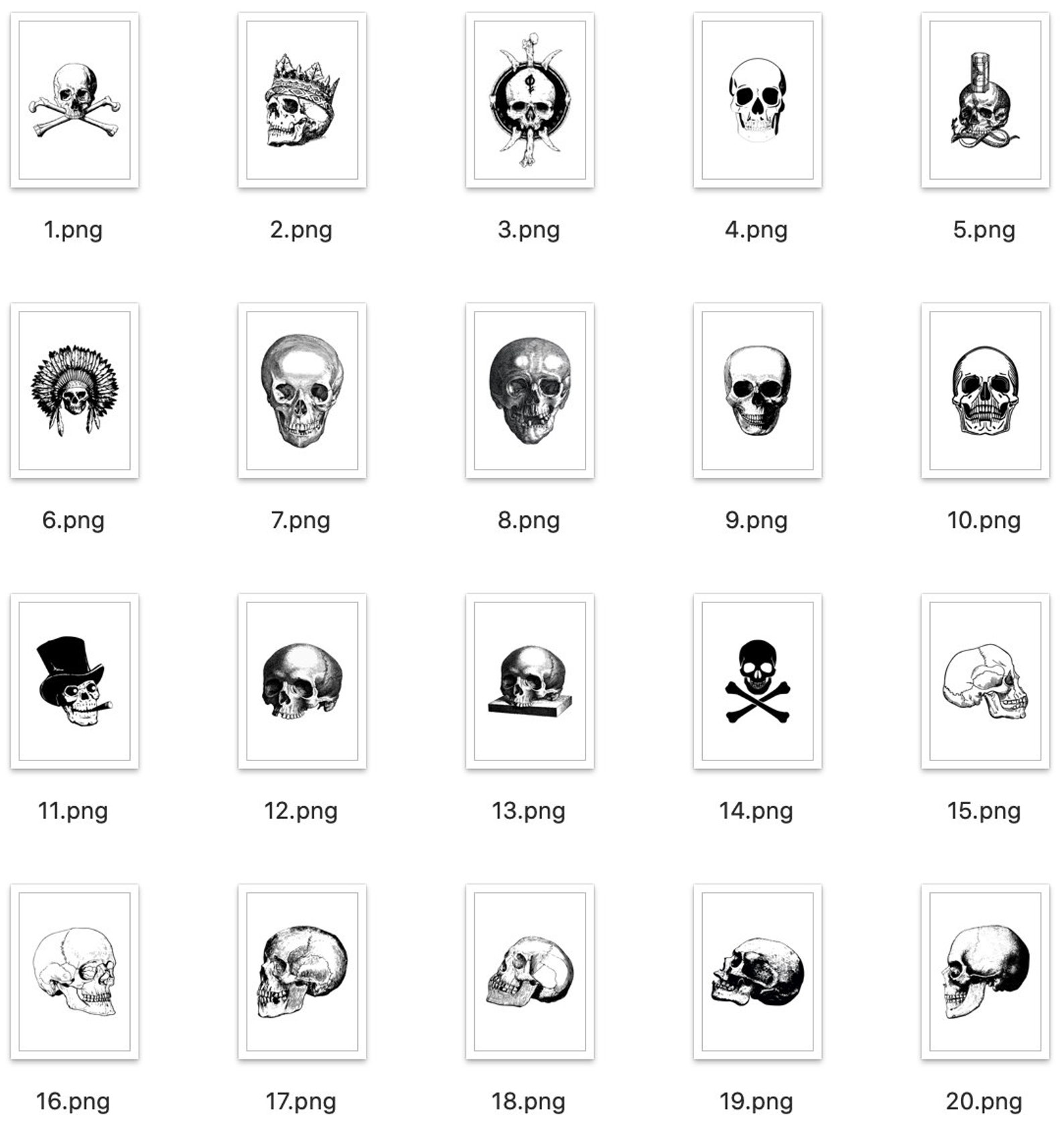 50 Vintage Skulls & Skeletons PNG SVG Digital Clipart Graphics ...