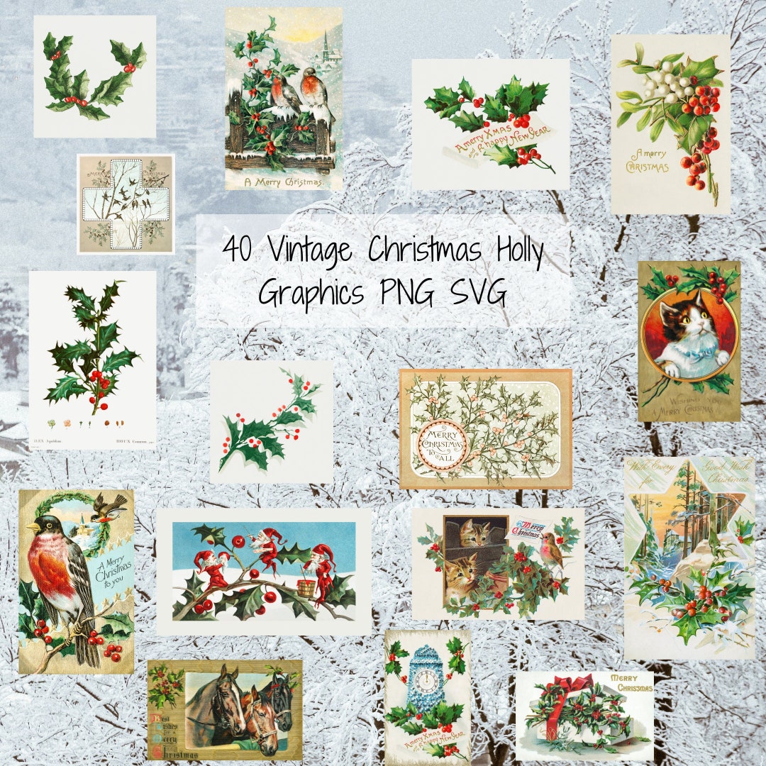 40 Vintage Christmas Holly Clipart Graphics PNG SVG, Digital Download ...
