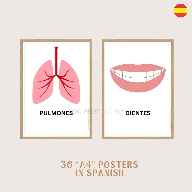 36 Body Parts Flashcards in Spanish, Montessori Flashcards, Pre-school ...