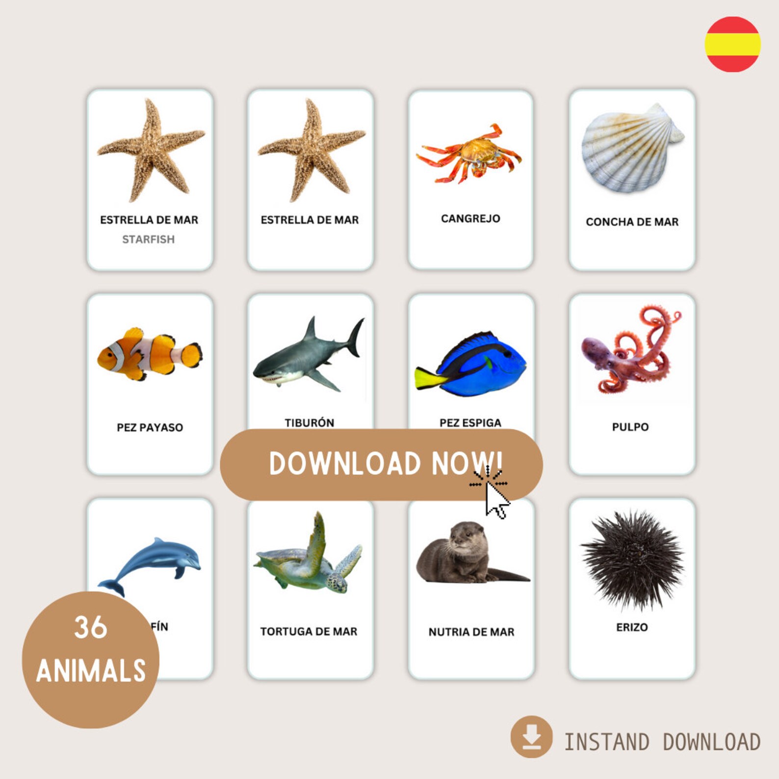 36 Sea Animals Cards in SPANISH Montessori Cards Flashcards PDF ...