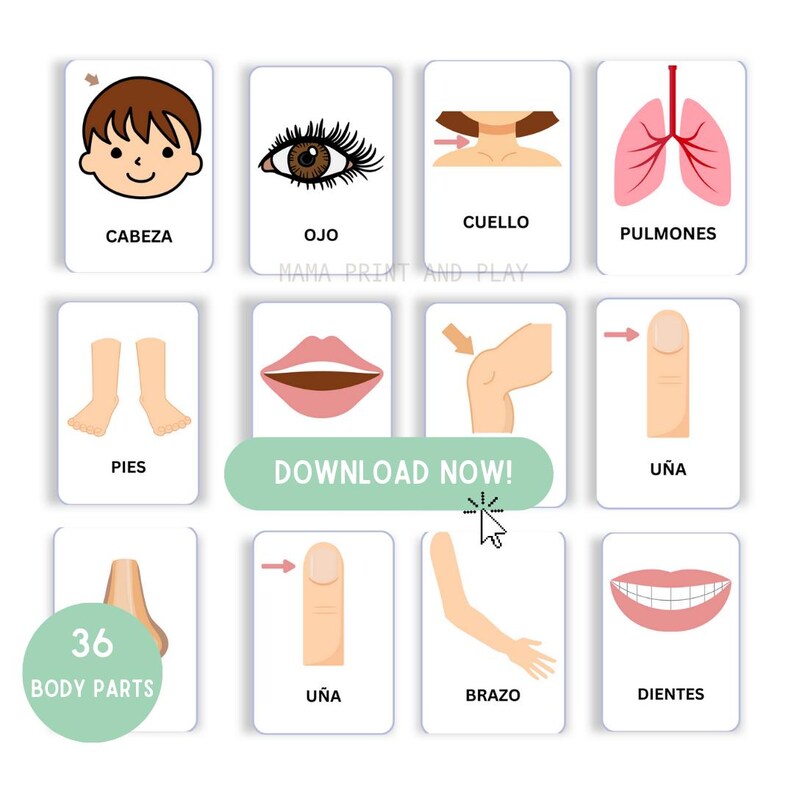 BODY PARTS SPANISH Flashcards, Montessori Spanish Flashcards, Pre ...
