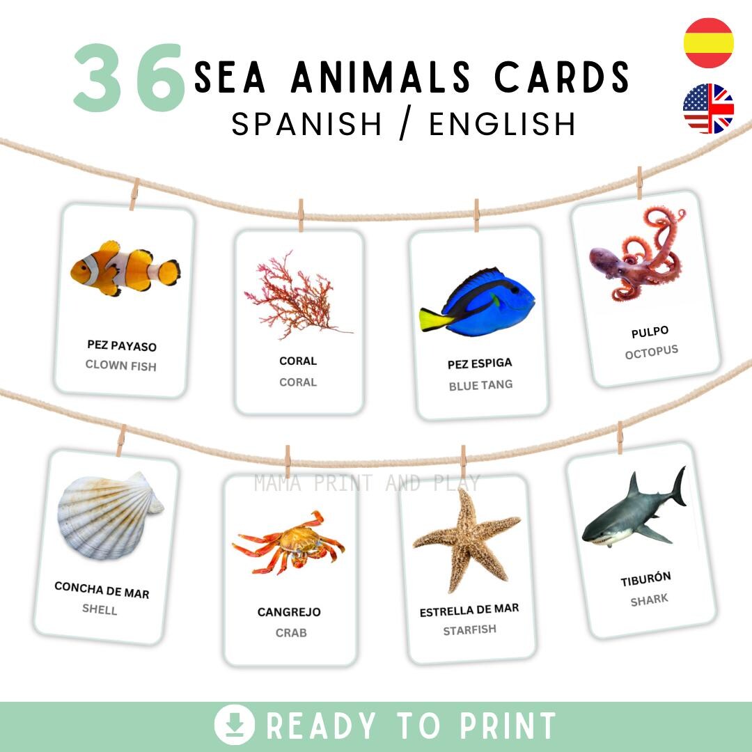 OCEAN ANIMALS Spanish / Sea Animals Flashcards, Three-part Montessori ...