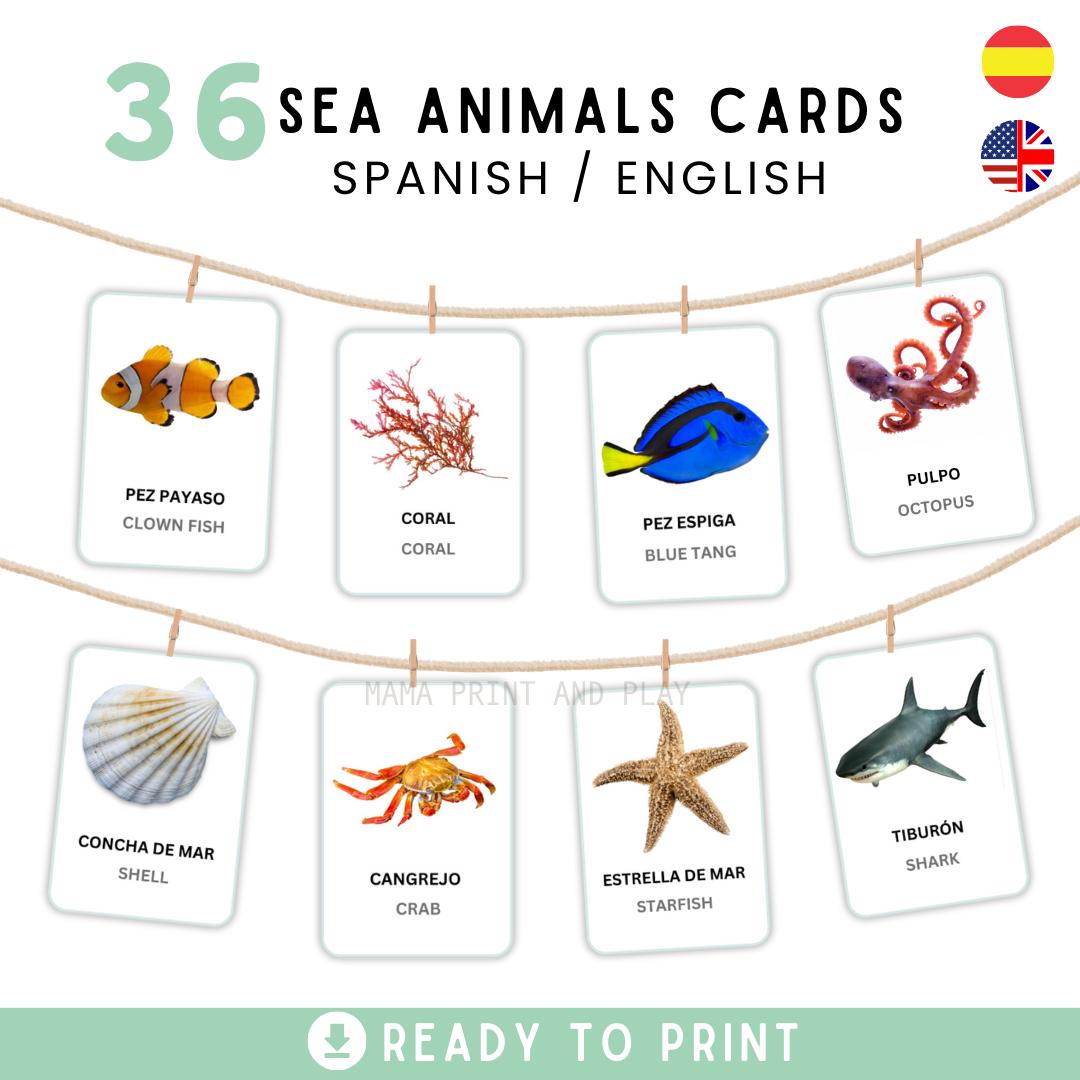 OCEAN ANIMALS Spanish / Sea Animals Flashcards, Three-part Montessori ...