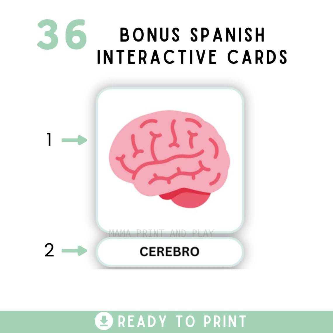 BODY PARTS SPANISH Flashcards, Montessori Spanish Flashcards, Pre ...