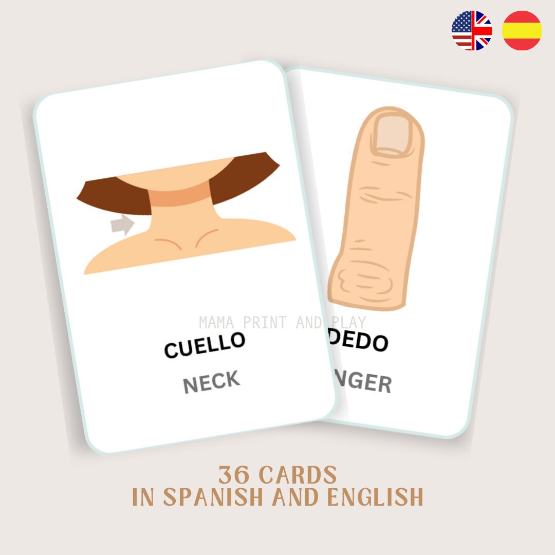 36 Body Parts Bilingual Cards, Montessori Flashcards, Preschool Cards ...