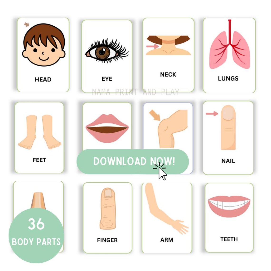 BODY PARTS Flashcards, Montessori Flashcards, Pre-school Flashcards ...