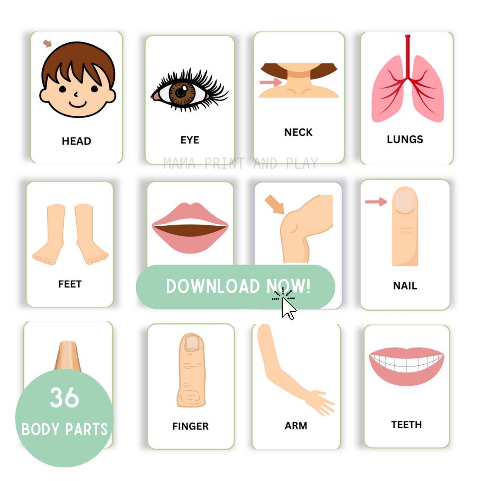 BODY PARTS Flashcards, Montessori Flashcards, Pre-school Flashcards ...