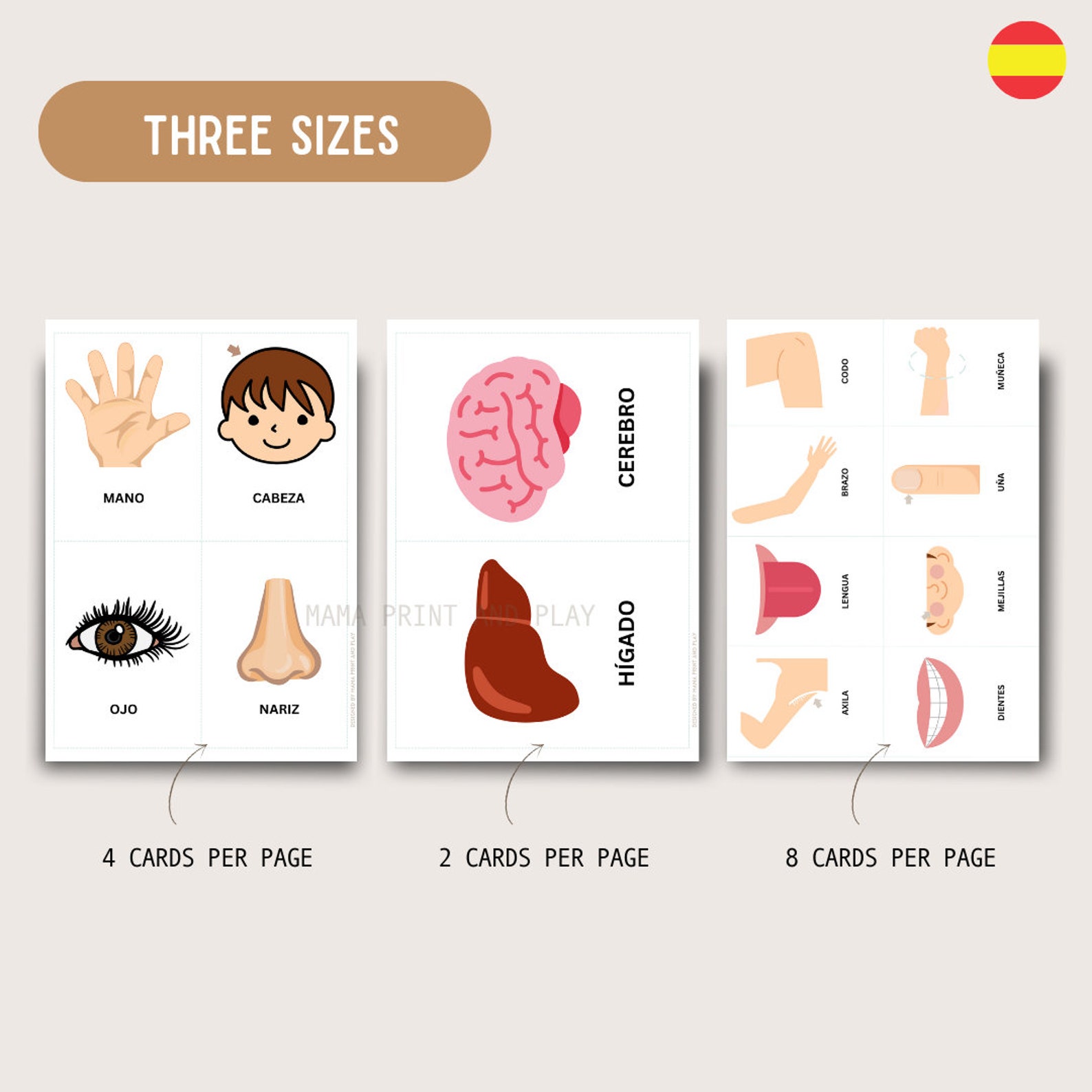36 Body Parts Flashcards in Spanish, Montessori Flashcards, Pre-school ...