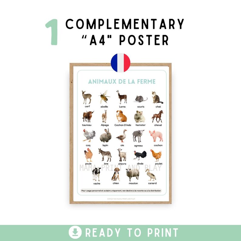 Farm Animals Flashcards in French for Kids | Printable Flashcards ...