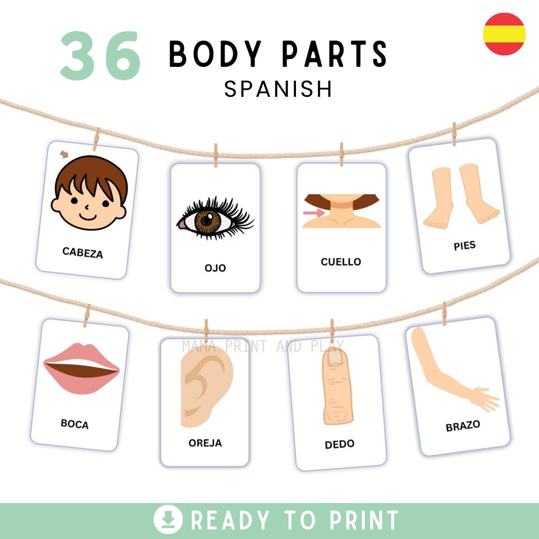 BODY PARTS SPANISH Flashcards, Montessori Spanish Flashcards, Pre ...