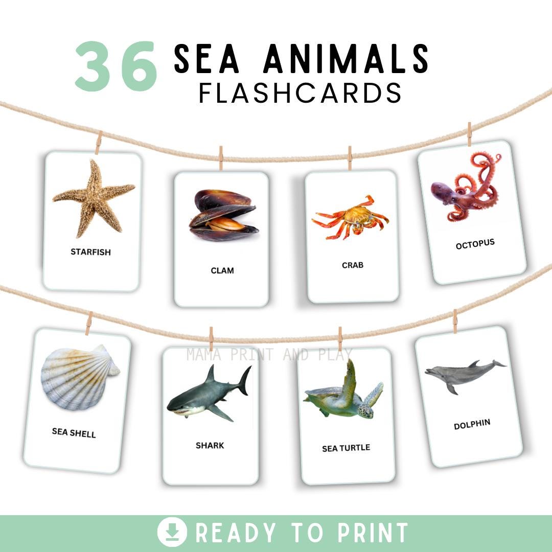 OCEAN ANIMALS | Sea Animals Flashcards | Montessori Cards | Educational ...