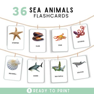 OCEAN ANIMALS | Sea Animals Flashcards | Montessori Cards | Educational ...