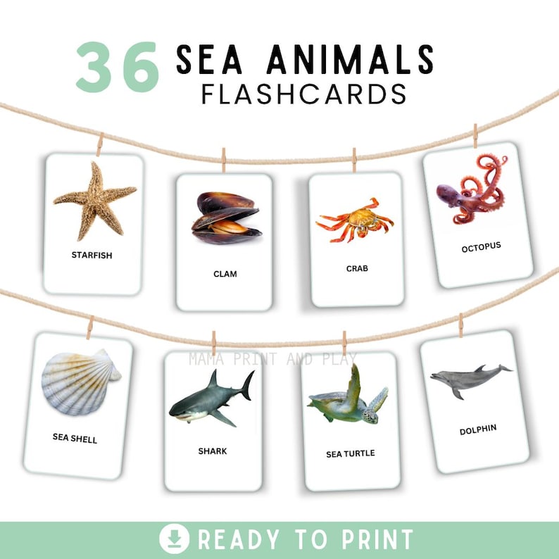 OCEAN ANIMALS | Sea Animals Flashcards | Montessori Cards | Educational ...