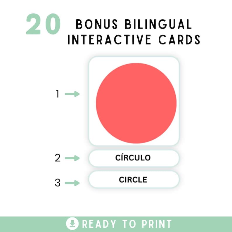 Spanish Shapes Flashcards Printable | Basic Shape Flash Cards ...