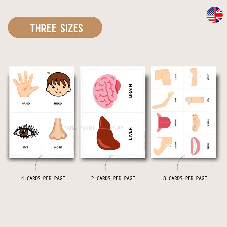 36 Body Parts Flashcards in English, Montessori Flashcards, Pre-school ...