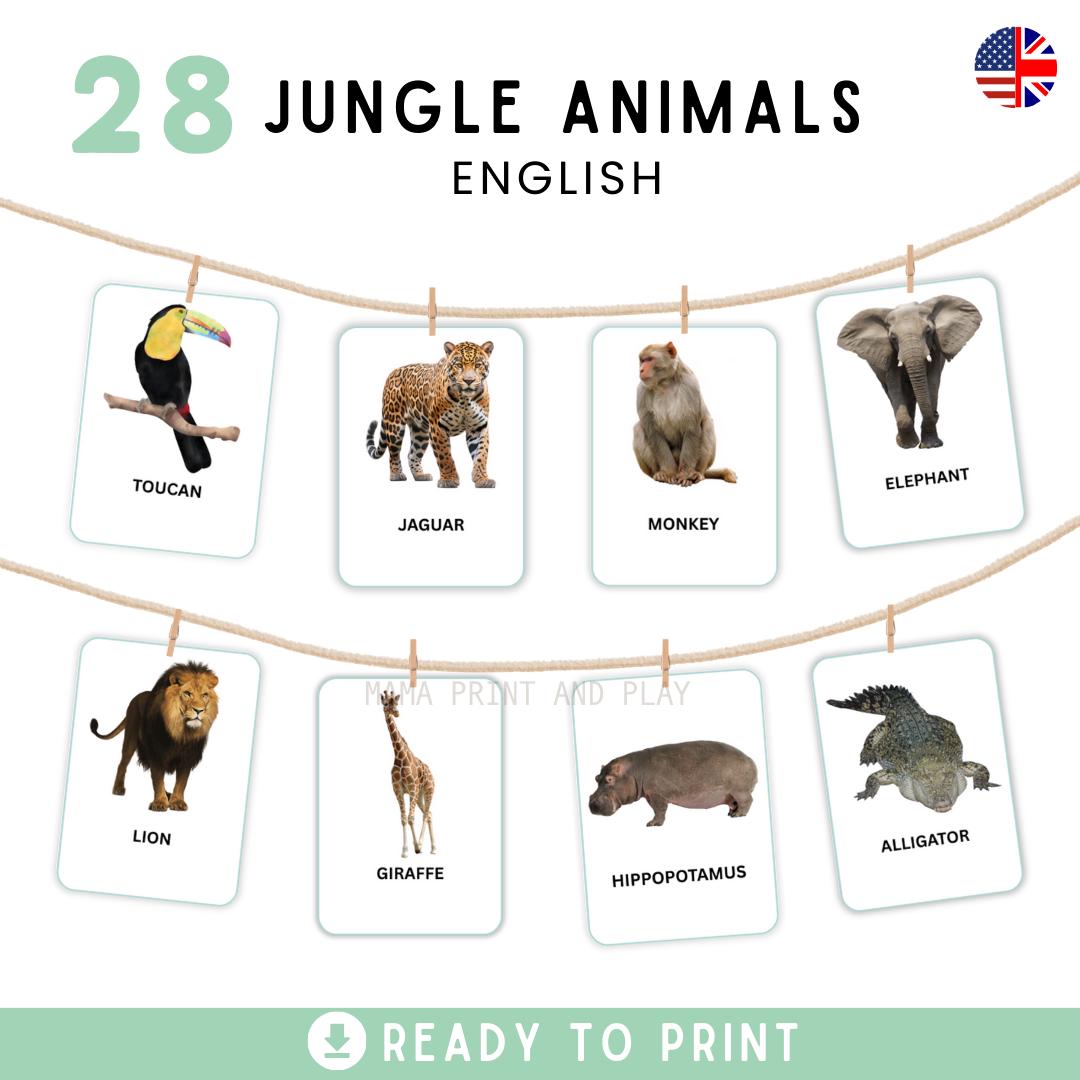 JUNGLE ANIMALS SPANISH Flashcards, Montessori Spanish Flashcards, Pre ...